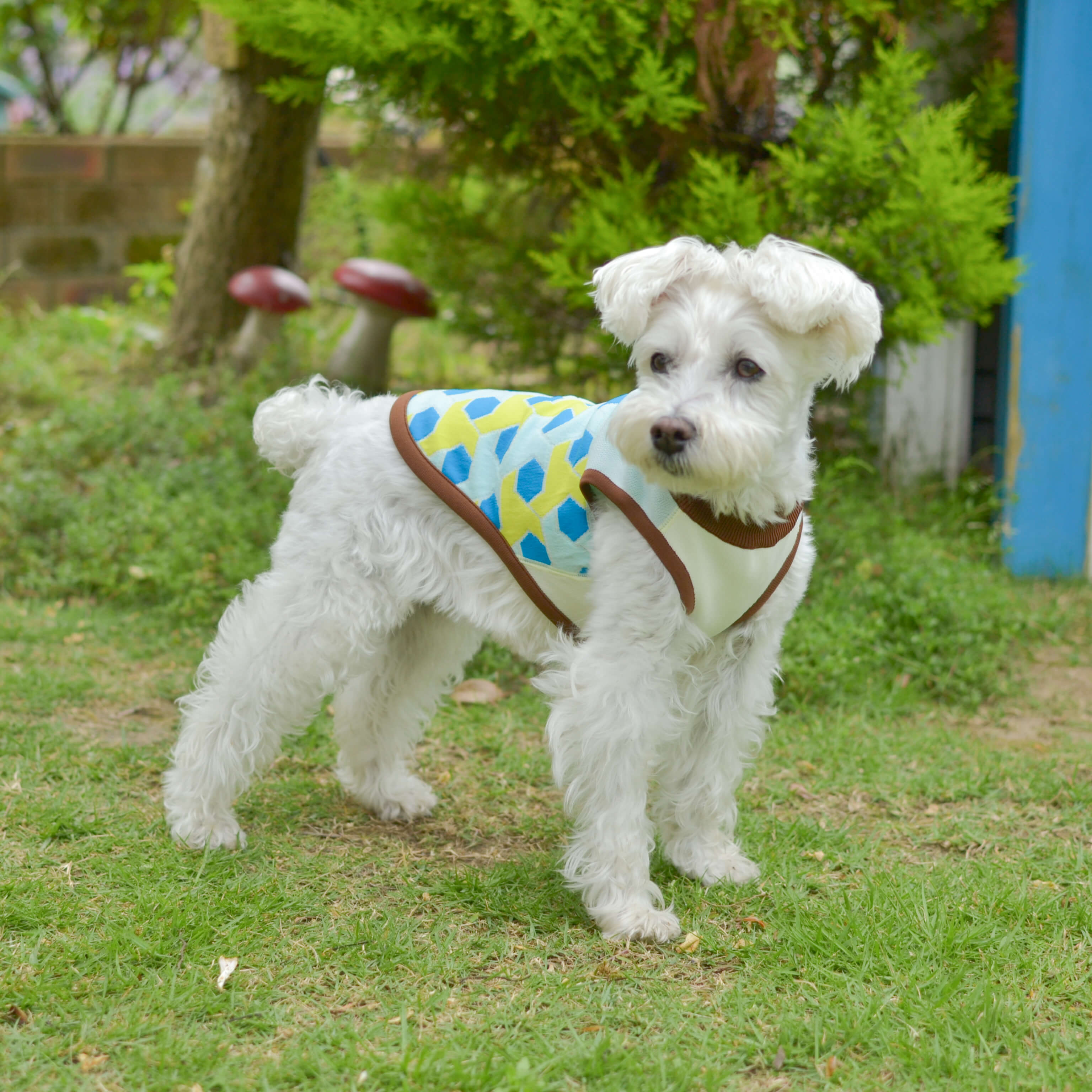 【DOG ACCESSORIES】 COLORFUL TILE – the-knitbar.com